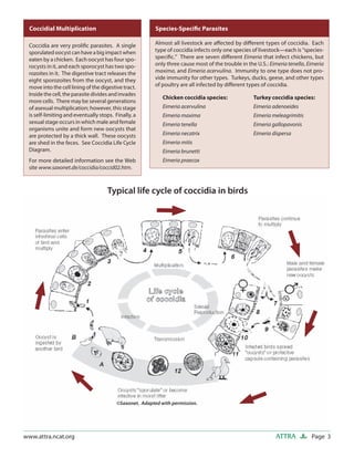 Parasite Management for Natural and Organic Poultry: Coccidiosis | PDF