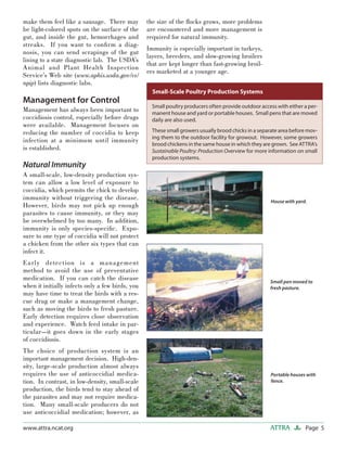 Parasite Management for Natural and Organic Poultry: Coccidiosis | PDF