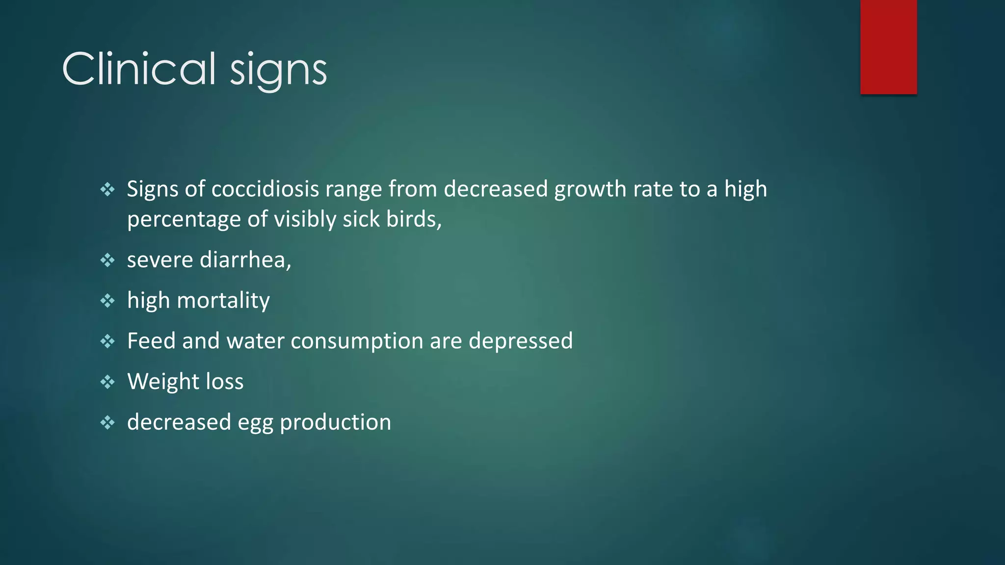 Coccidiosis in poultry | PPTX