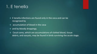 Coccidiosis in poultry | PPTX