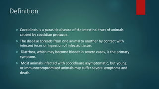 Coccidiosis in poultry | PPTX