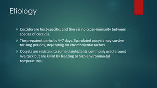 Coccidiosis in poultry | PPTX