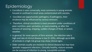 Coccidiosis in poultry | PPTX