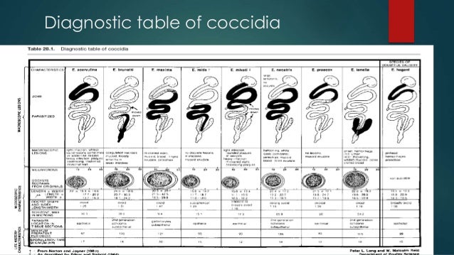 Coccidiosis in poultry