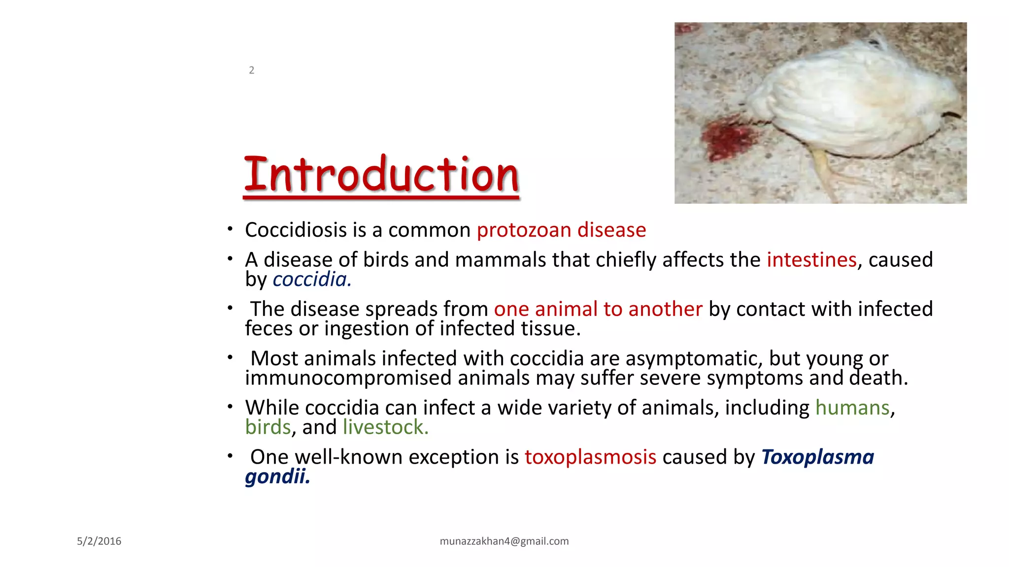 Coccidiosis | PPTX