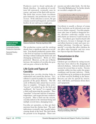 Coccidiosis | PDF