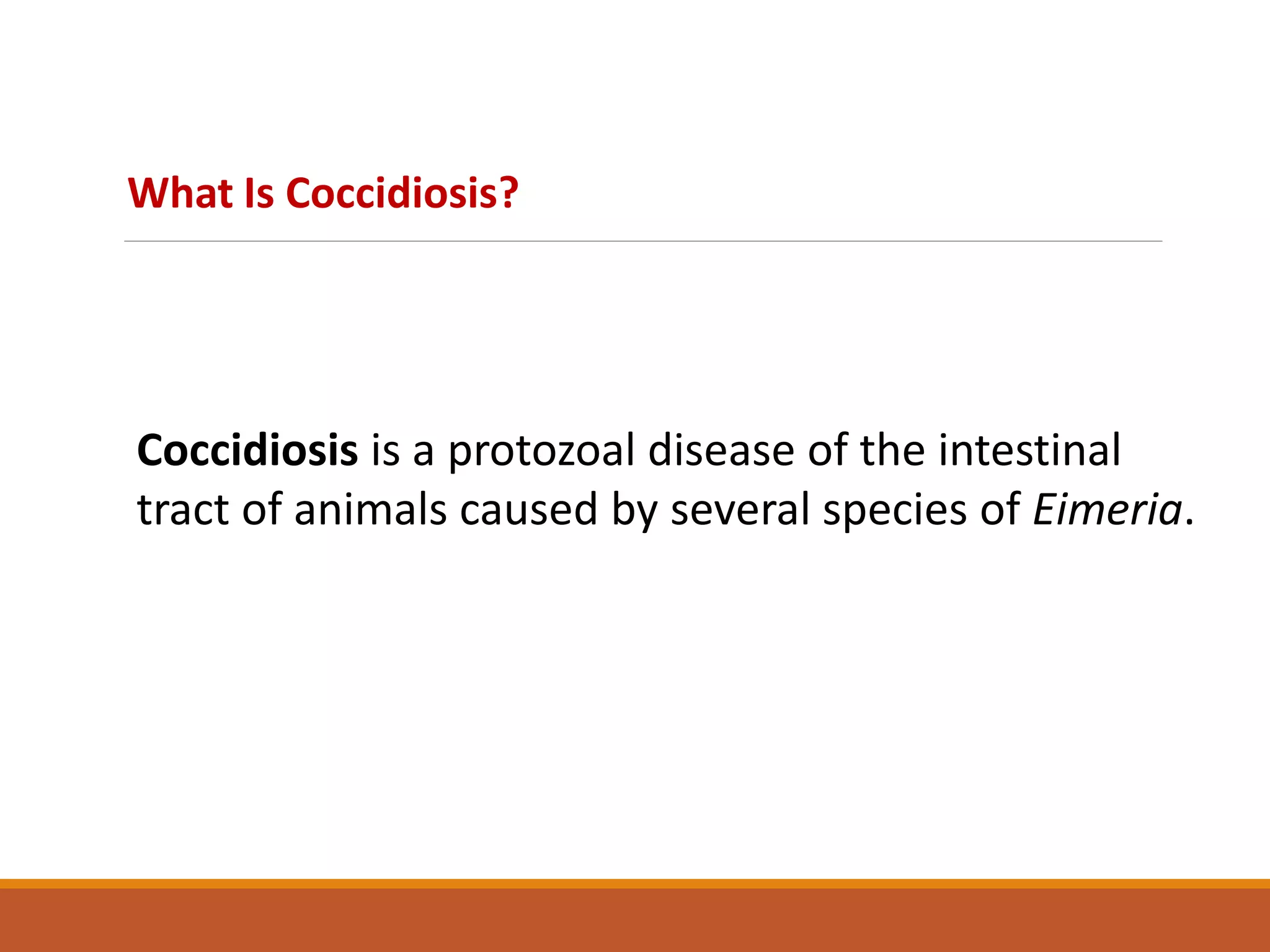 Coccidiosis | PPTX