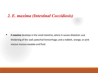 Coccidiosis | PPTX