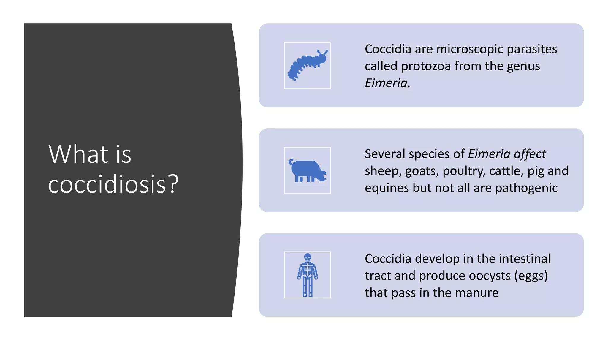 coccidiosis.pptx