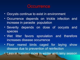 -Coccidiosis in poultry birds , etiology clinical signs and diagnosis | PPT