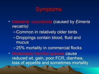 -Coccidiosis in poultry birds , etiology clinical signs and diagnosis | PPT