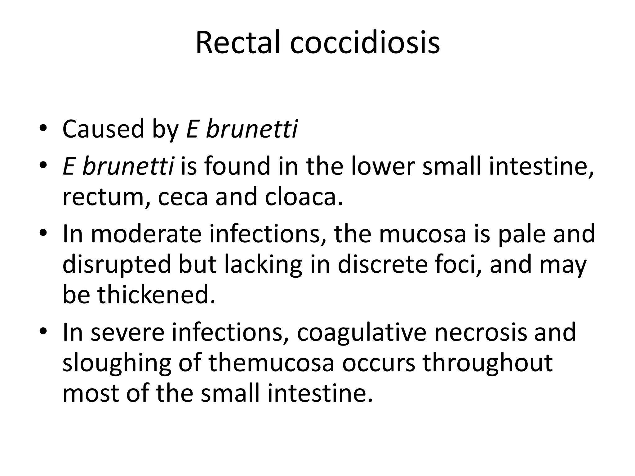 coccidiosis-in-poultry-ppt.pdfcoccidiosis-in-poultry-ppt.pdf ...