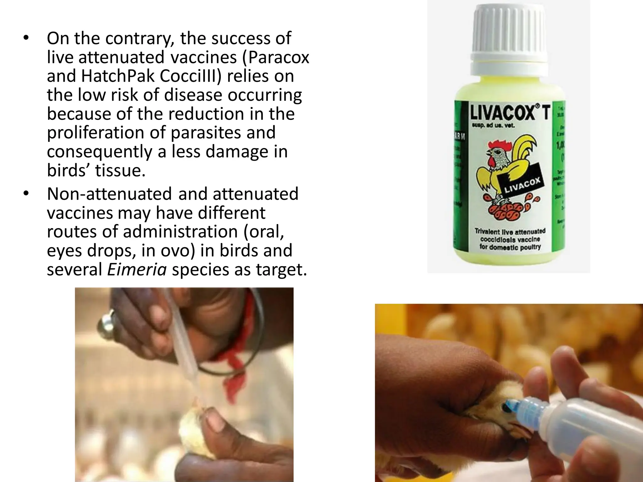 coccidiosis-in-poultry-ppt.pdfcoccidiosis-in-poultry-ppt.pdf ...