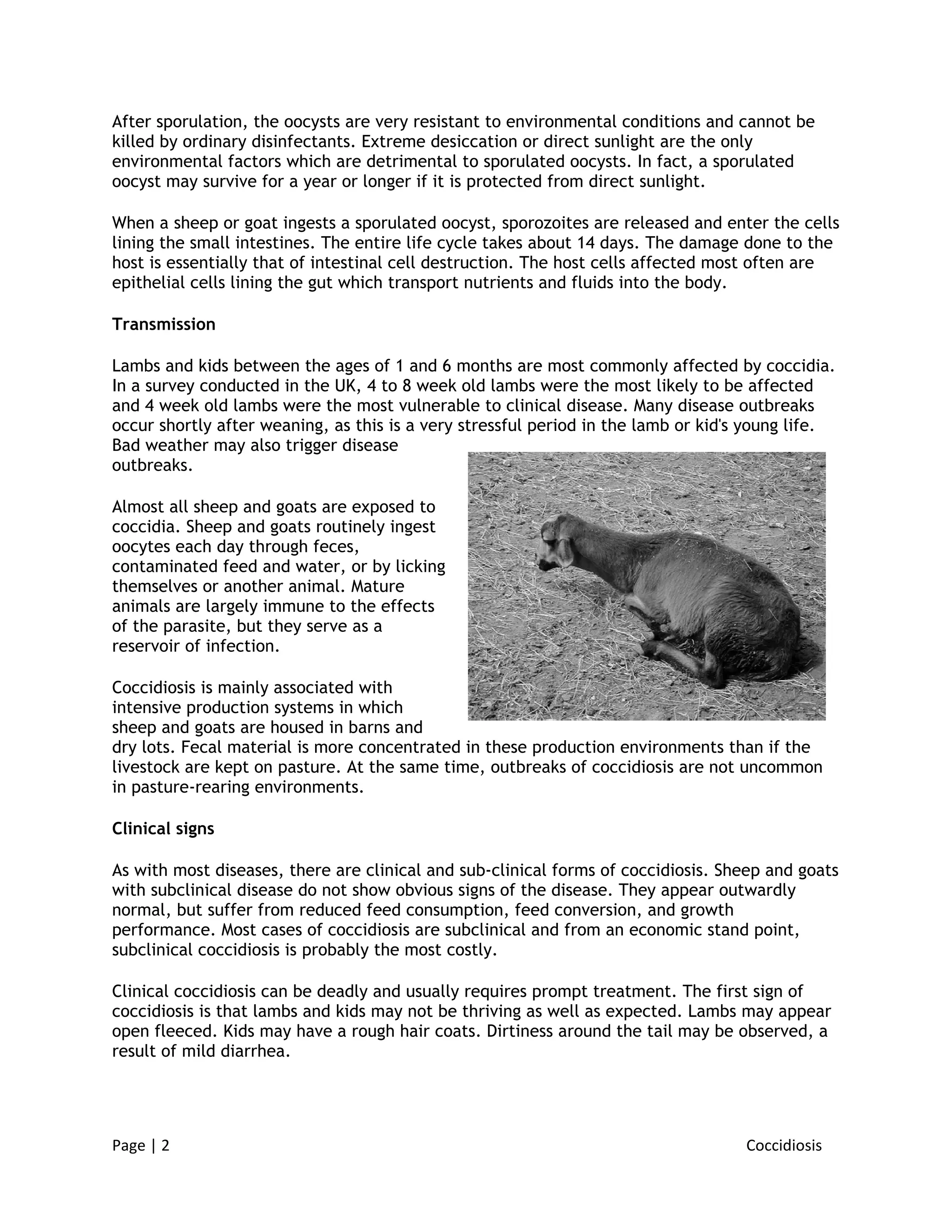 Coccidiosis | PDF