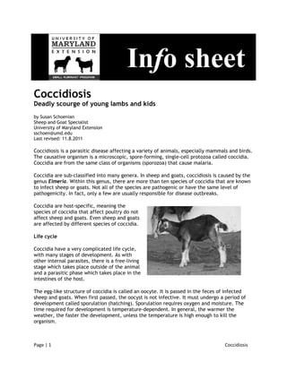 Can Dogs Get Coccidia From Goats