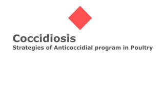 Coccidiosis and Anticoccidial programme | PPTX