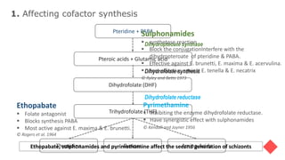 Coccidiosis and Anticoccidial programme | PPTX