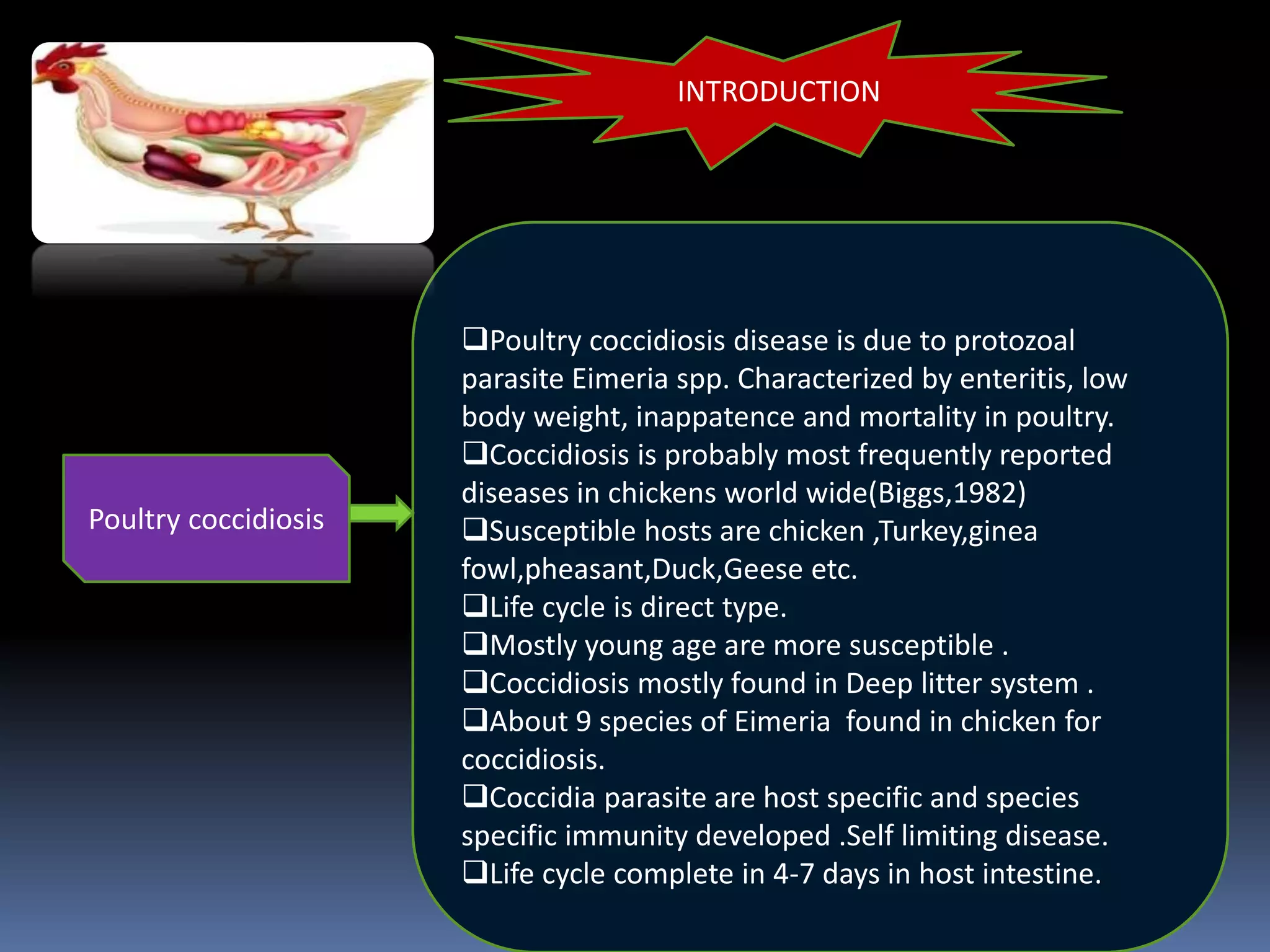 Coccidiosis in poultry | PPTX