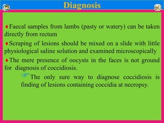 Coccidiosis in small_ruminants samuel last (1) | PPTX | Digestive Disorders | Diseases and ...