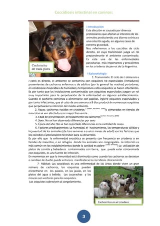 Coccidiosis intestinal en caninos | PDF