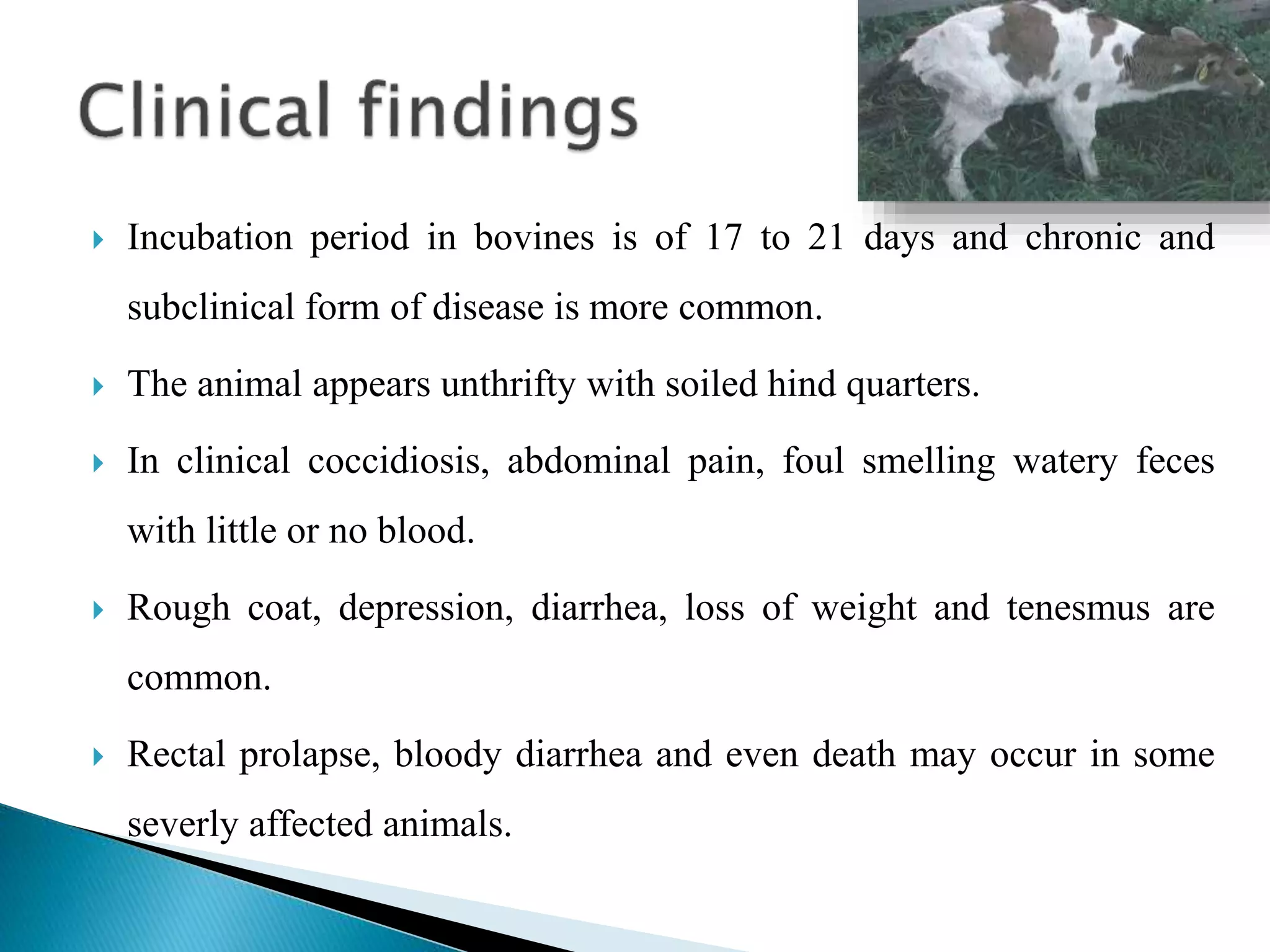 Coccidiosis Powerpoint by Dr. Kushal Grakh | PPTX