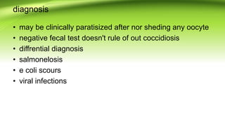 Coccidiosis small ruminants | PPT