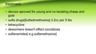 Coccidiosis small ruminants | PPTX