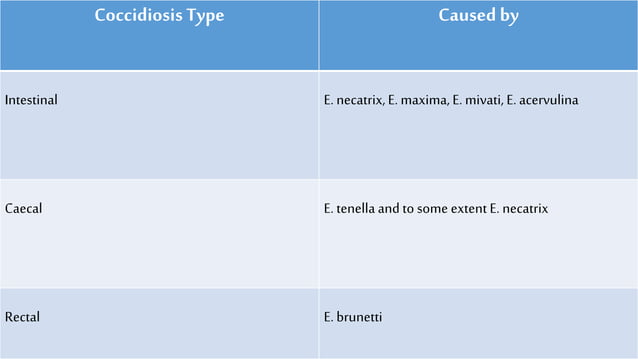 Coccidiostates in poultry | PPSX