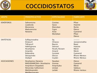 Coccidiostatos | PPTX
