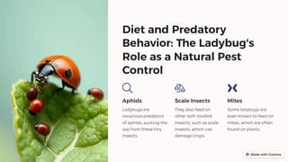 Coccinellidae-A-Deep-Dive-into-Ladybug.pdf