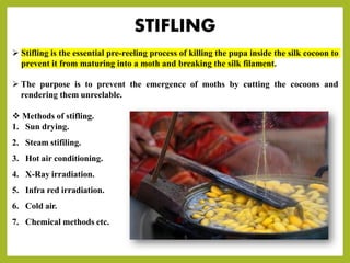 Comprehensive Guide to Cocoon Processing and Silk Reeling Techniques | PDF