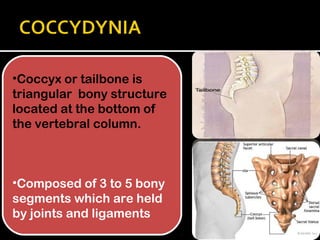Tail bone pain / Coccydynia | PPT