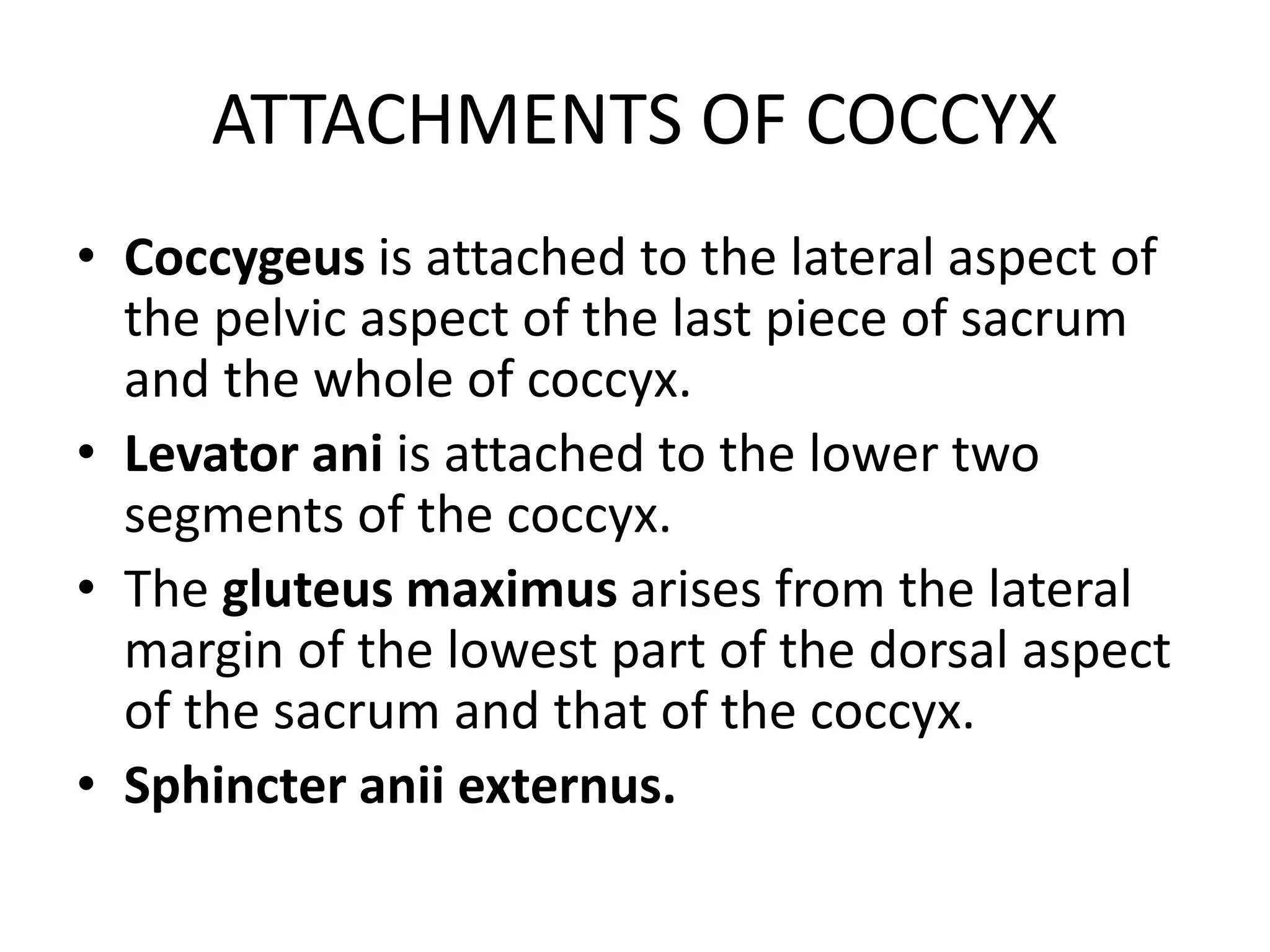 Coccydynia | PPTX