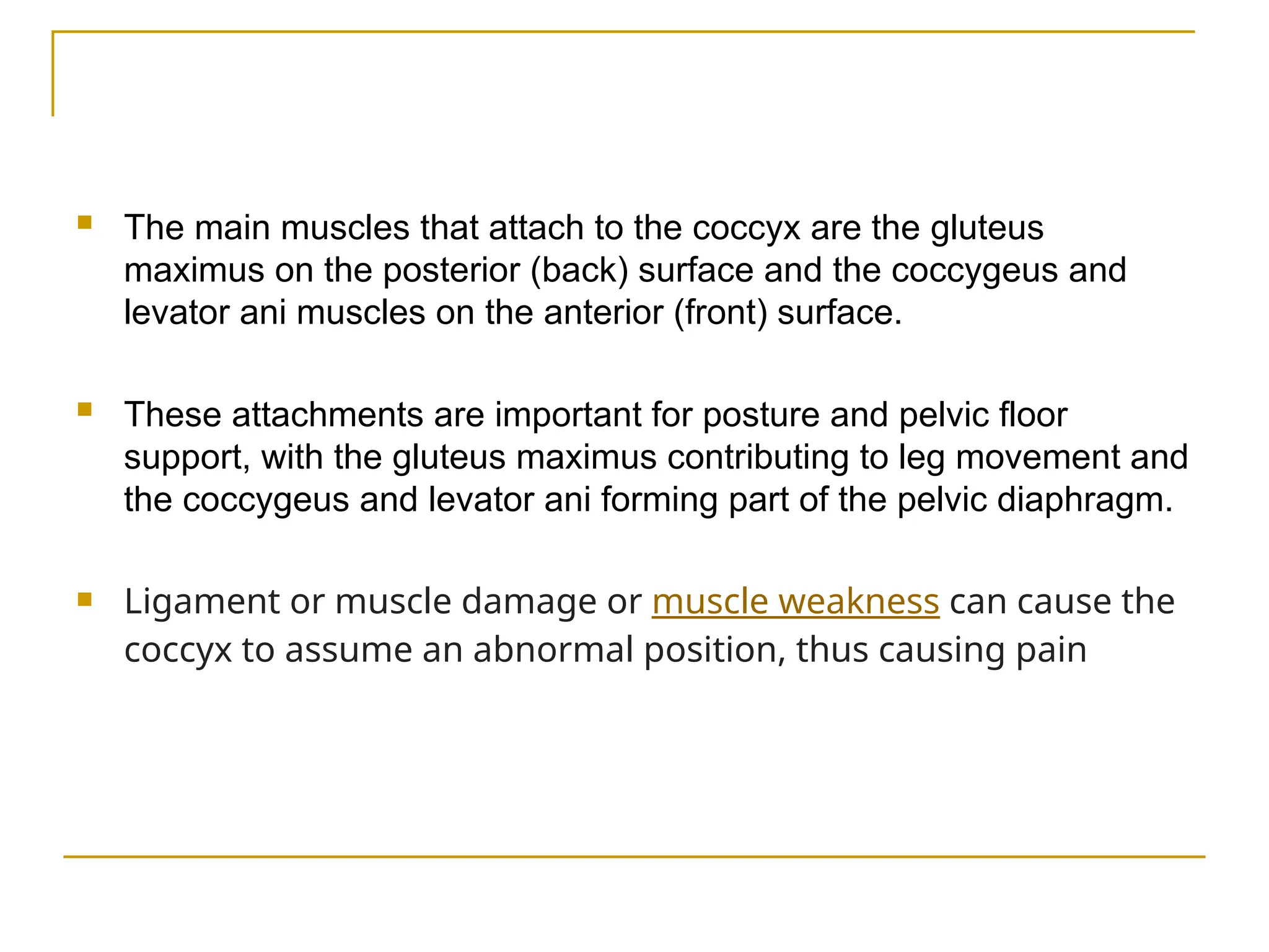 COCCYDYNIA.ppt for physiotherapist students | PPT