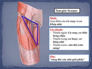 Khám phá 3 Cạnh của Tam Giác: Bí mật của Hình Học và Ứng Dụng Thực Tế