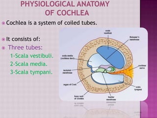 Cochlea & its functions | PPTX