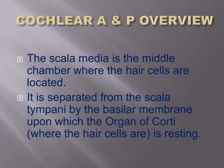 Cochlear anatomy & physiology overview | PPTX