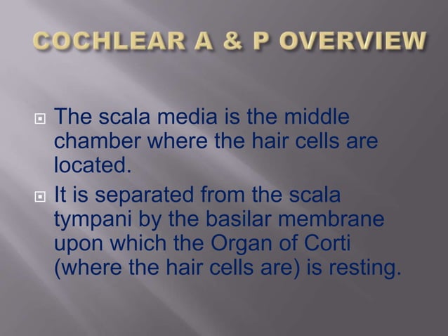 Cochlear anatomy & physiology overview | PPTX