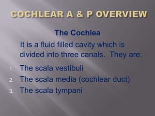 Cochlear anatomy & physiology overview | PPTX