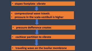 cochlear biophysics .pptx