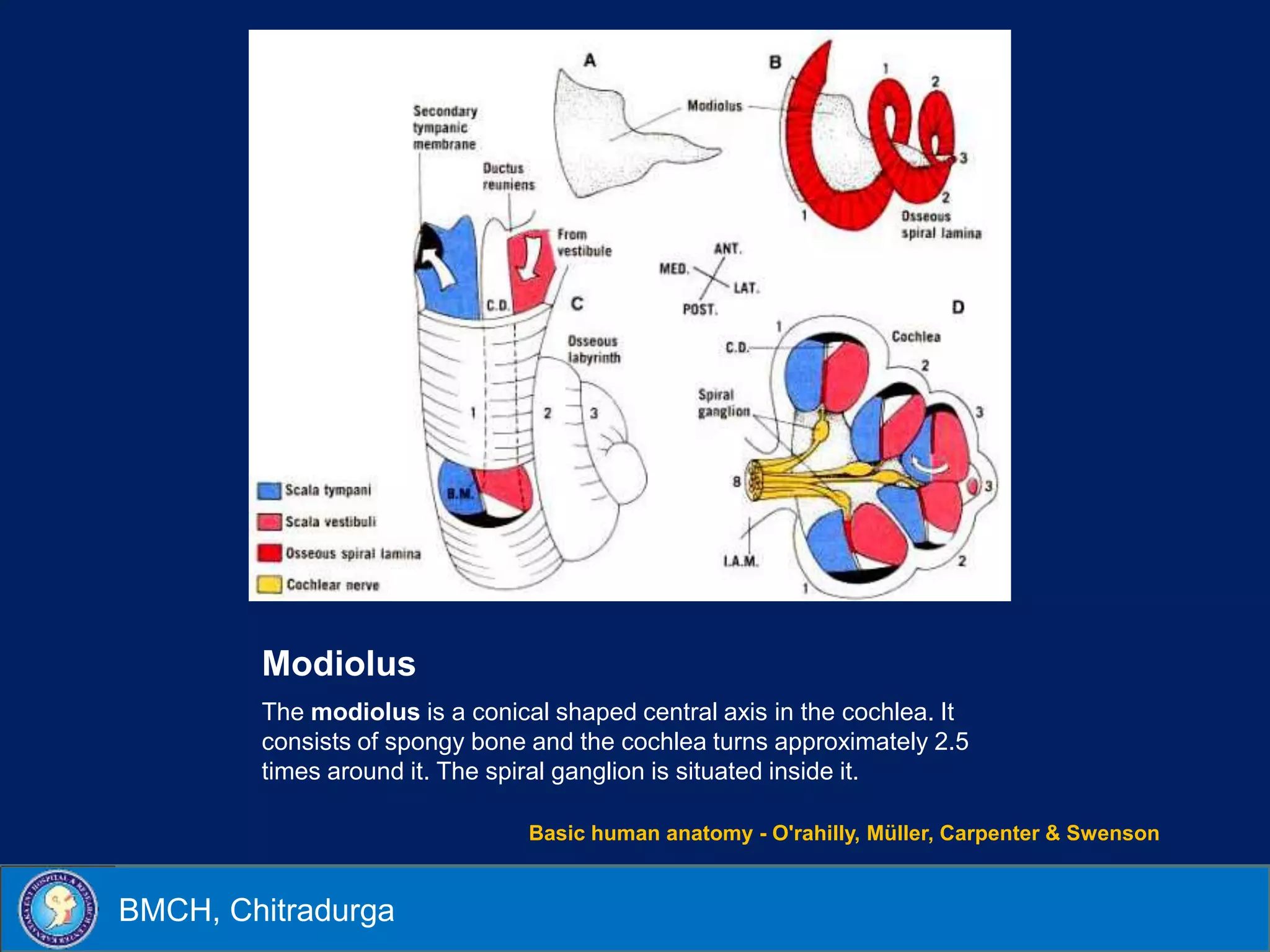 Cochlear implant imaging | PPSX