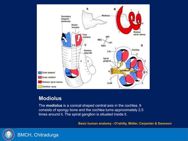 Cochlear implant imaging | PPSX