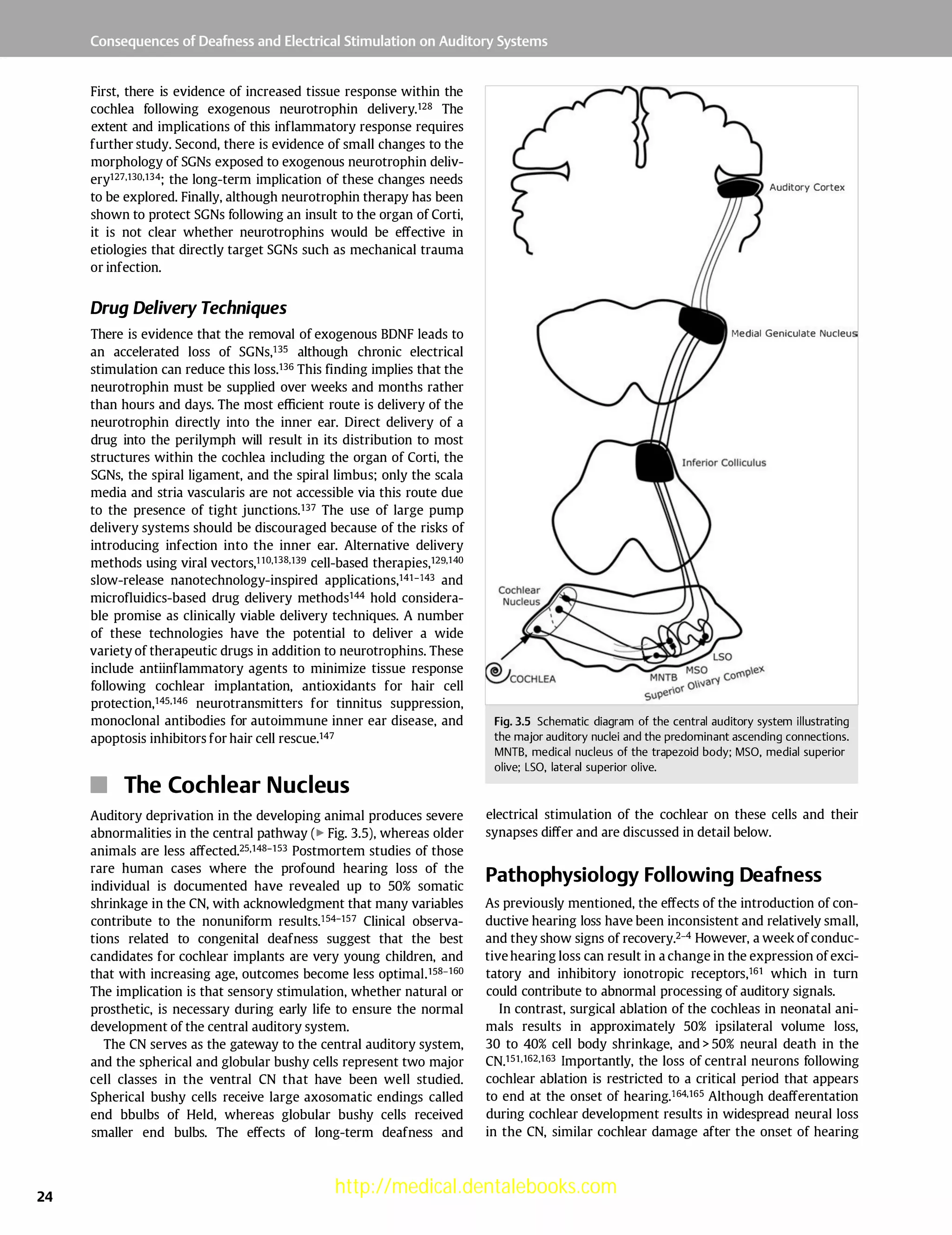 Cochlear implants: Indications, Investigation , Surgery | PDF
