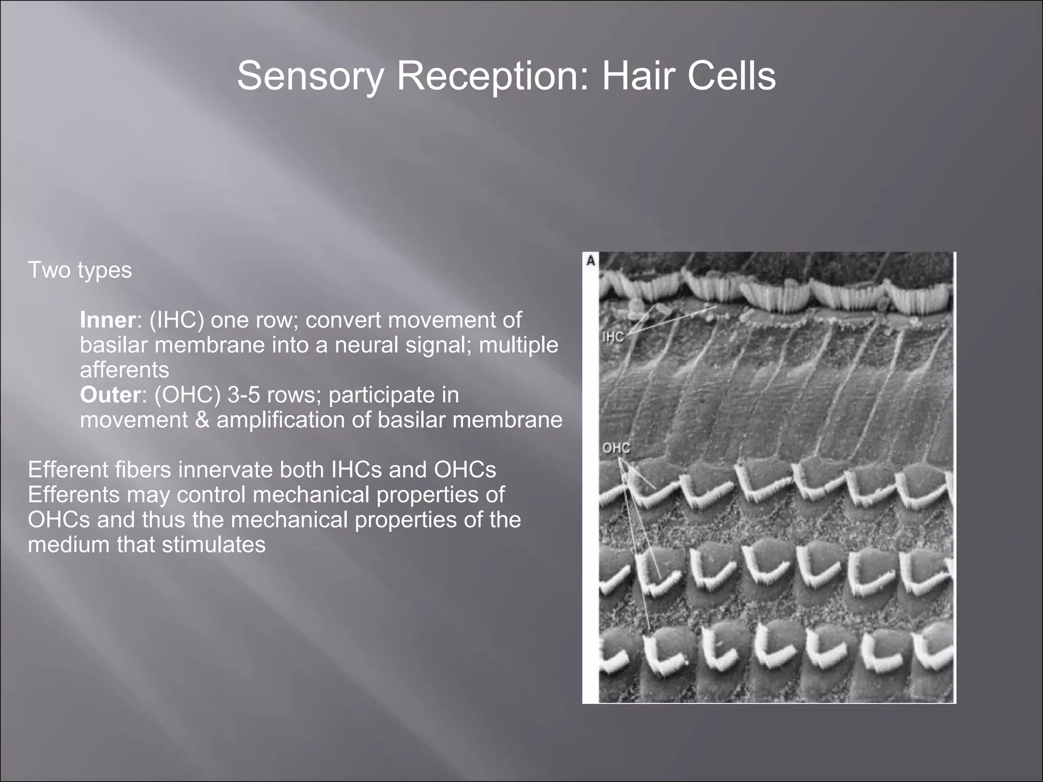 Cochlear mechanics or mechanics of hearing | PPT
