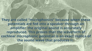Cochlear Microphonics, a seminar for MD students | PPTX