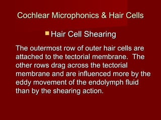 HIS 120 Cochlear Microphonics and Hair Cells | PPT