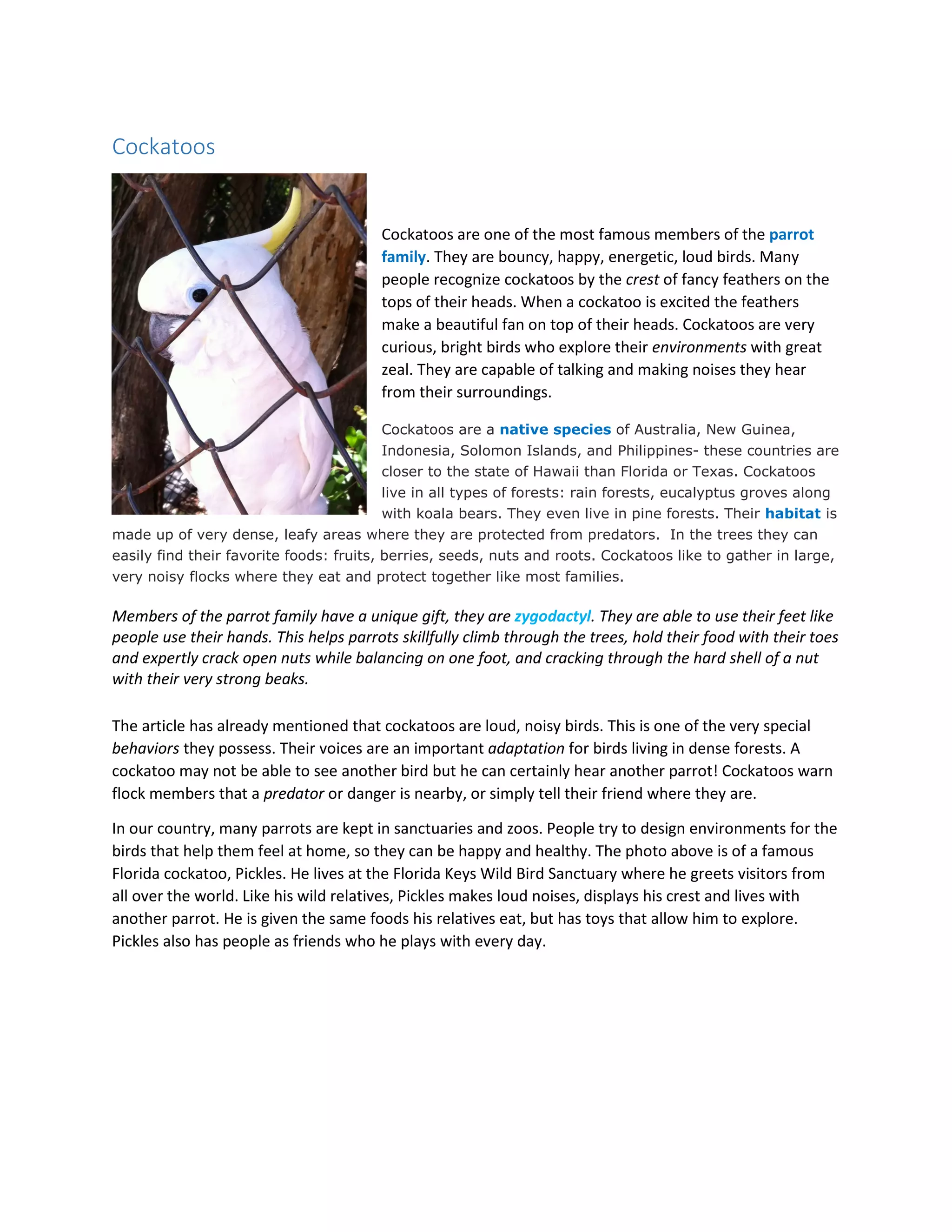 Cockatoos | PDF