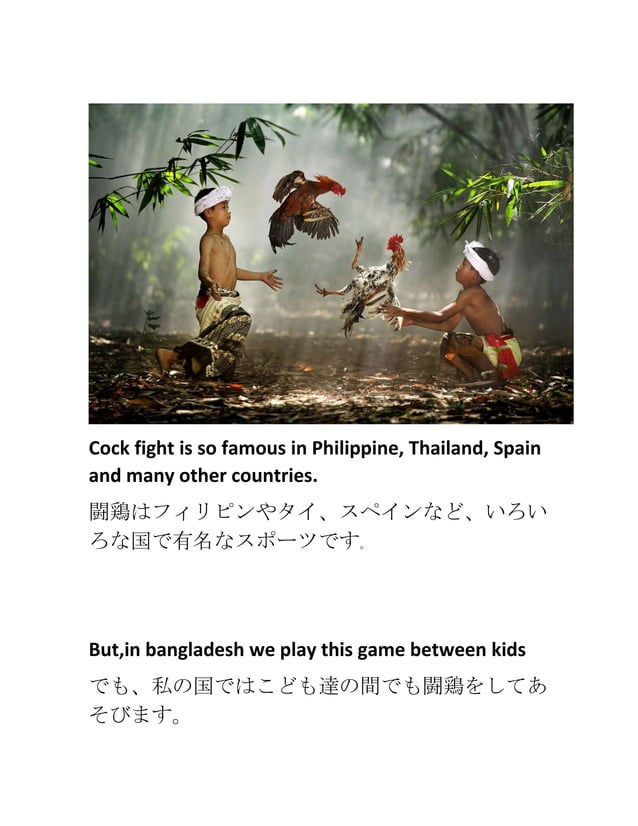 Cockfight | PDF