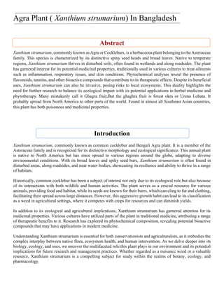 Cockleburs+(Agra)+Plant+In+Bangladesh.pdf