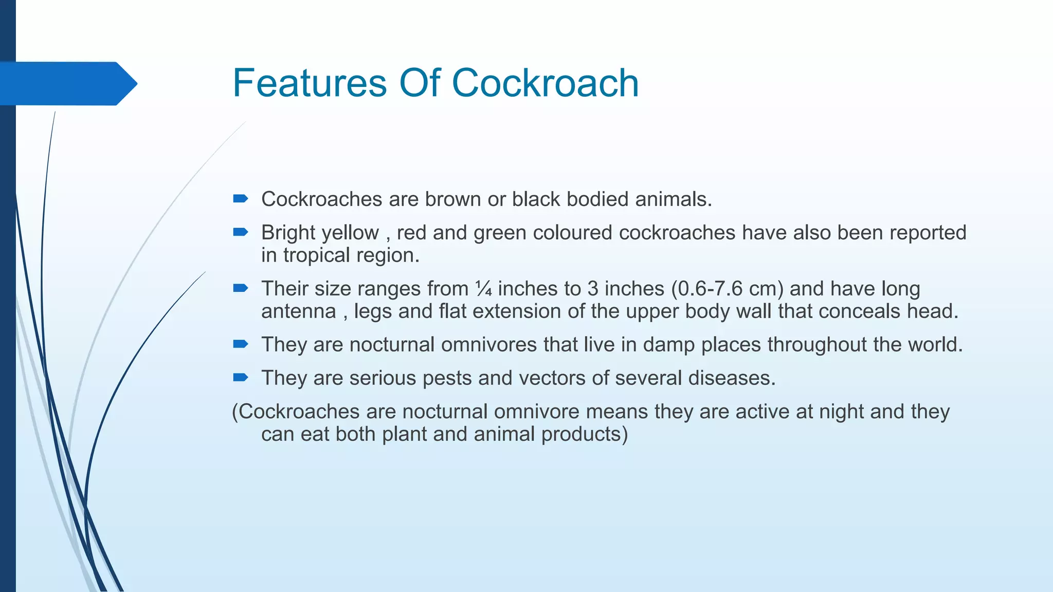 Cockroach | PPTX